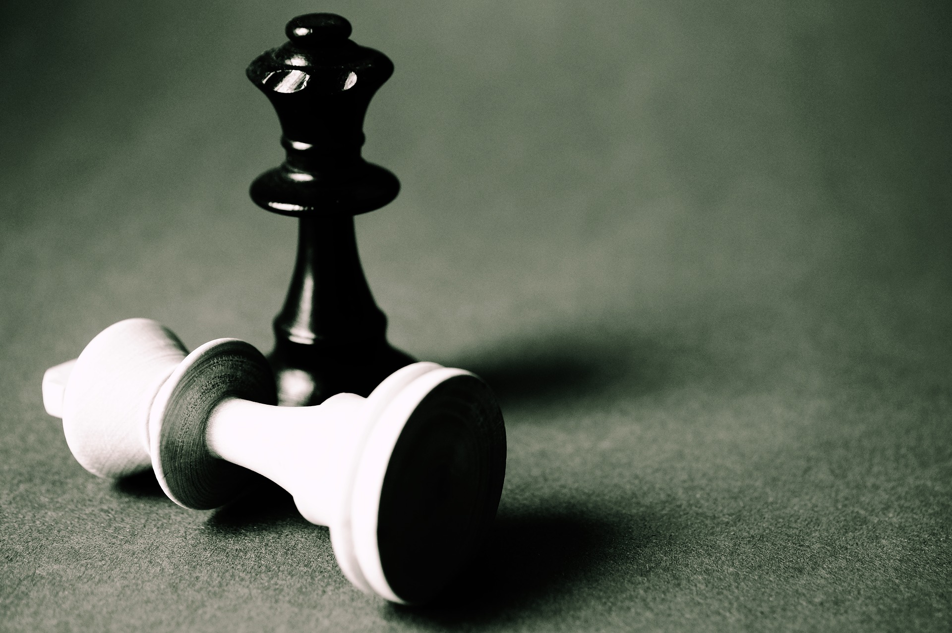 Loss vs. Lost: Grammar Corner - Through Education